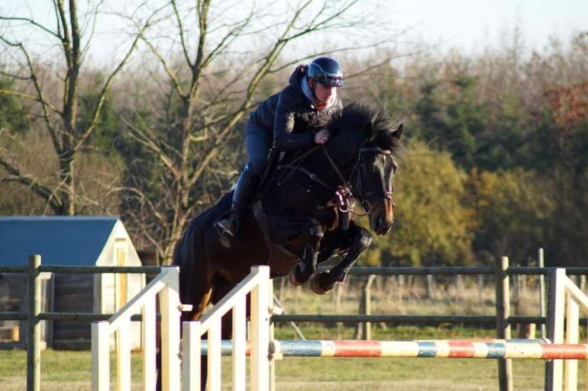 Siraxta Montoya, 5yo by Montender x Douglas VDL in France with Loïc ...
